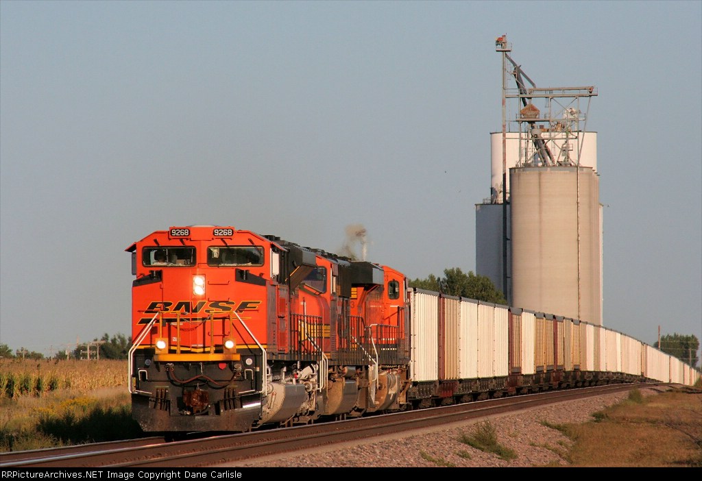 1 of each represented